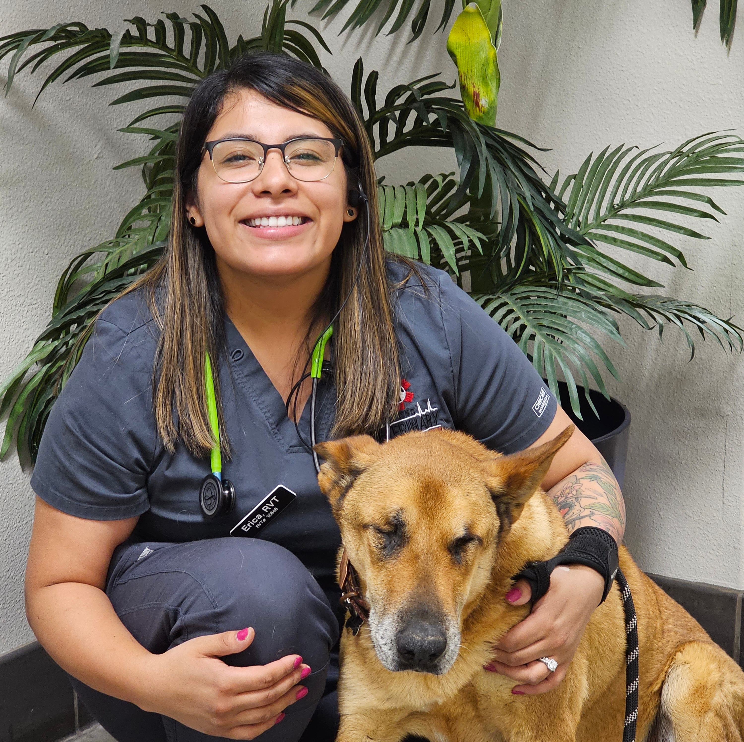 Staff | Fresno Veterinary Specialty & Emergency Center