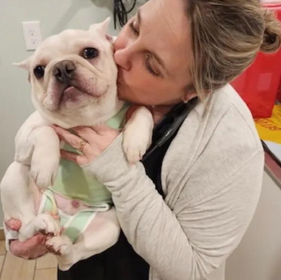 Staff | Merrimack Veterinary Hospital