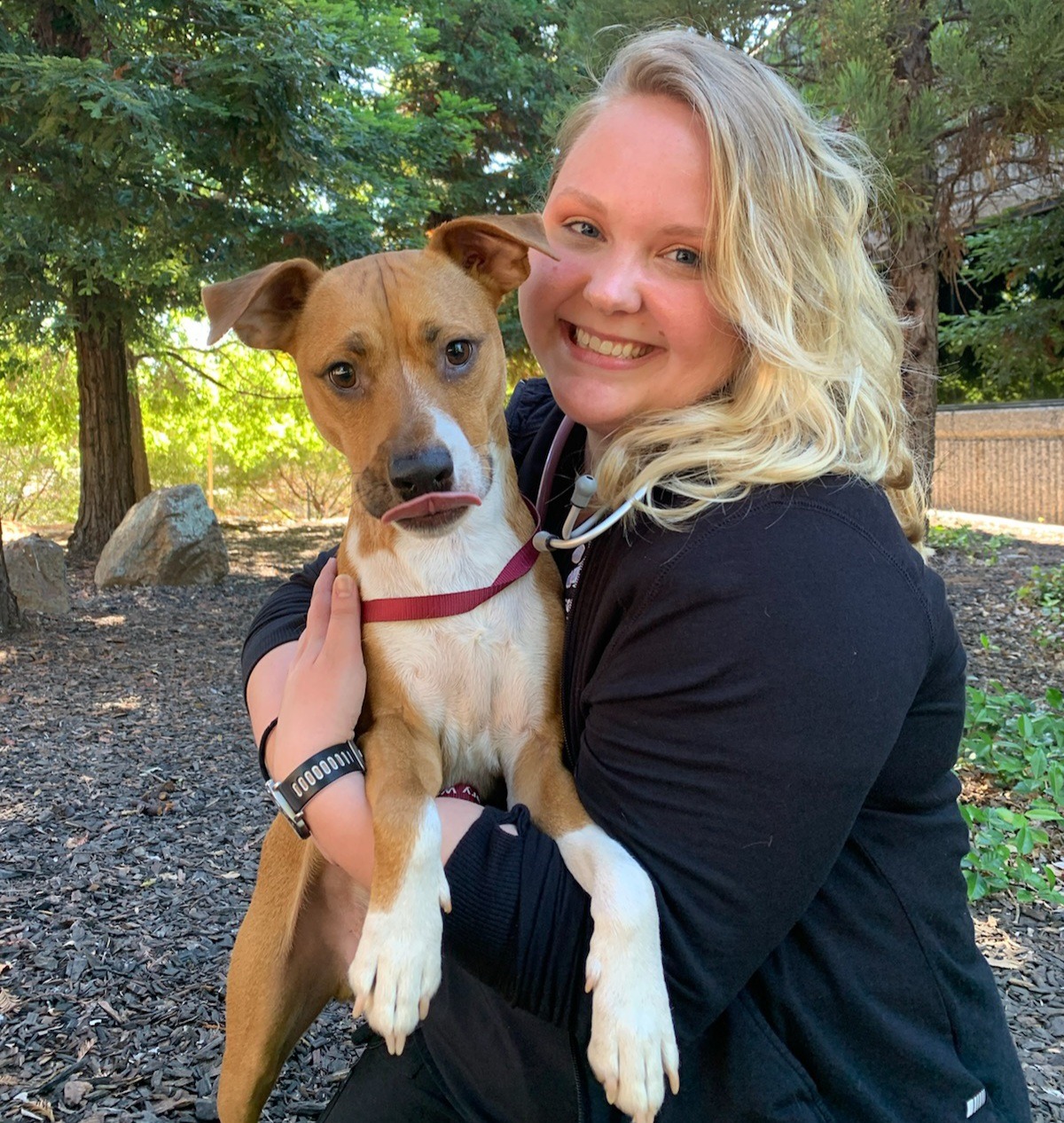 Our Team | Goldorado Animal Hospital