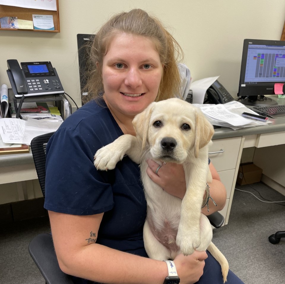 Staff | North Florida Animal Hospital