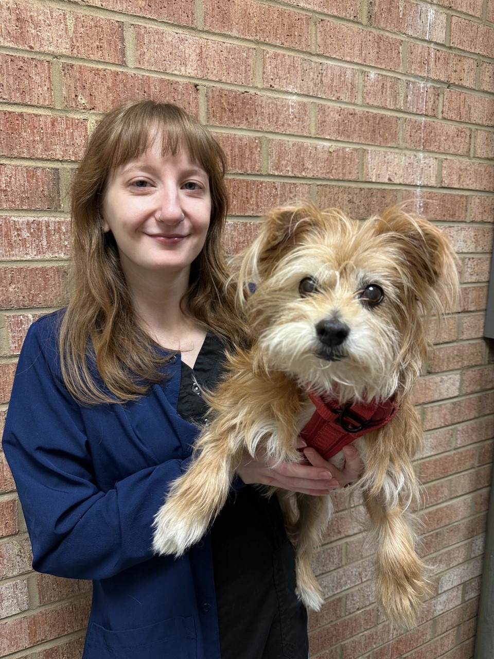 Staff | Vinton Veterinary Hospital