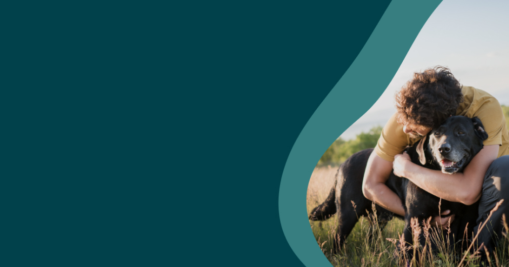 Homepage | River Forest Animal Hospital