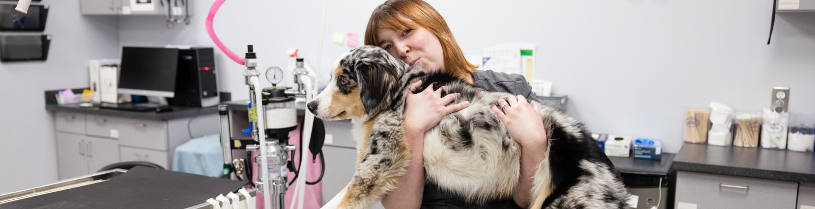 Our Animal Hospital Staff | Burtch Animal Hospital