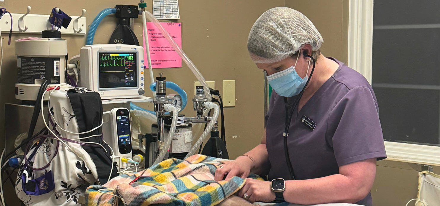 Meet Jamie Rauscher: Past President of NAVTA, NVA Hospital Manager and ...