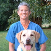 Staff | Cape Fear Animal Hospital