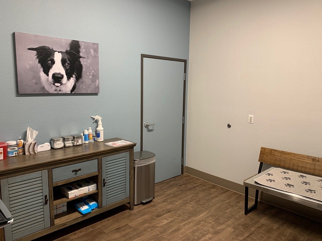 Gallery | All Creatures Animal Clinic