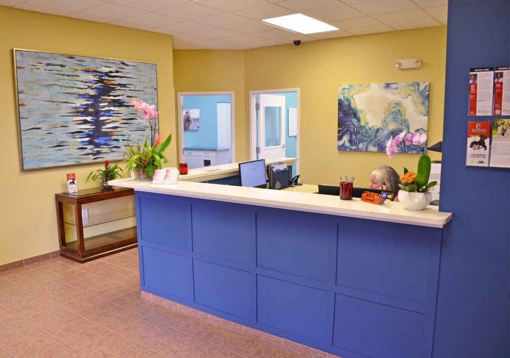 Our Facilities | Florida Veterinary Referral Center (FVRC)
