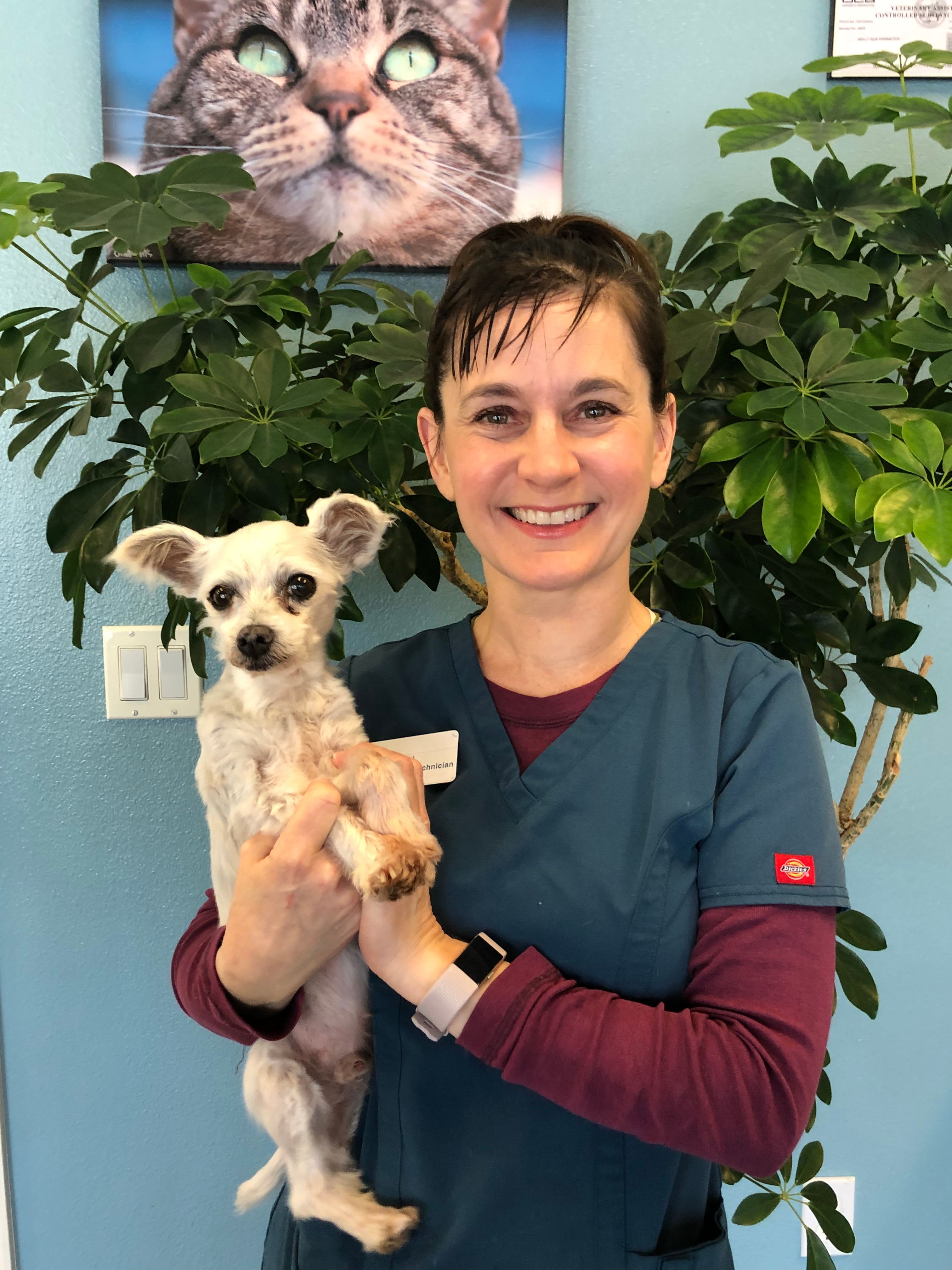 Staff | Central Coast Pet Hospital and Emergency