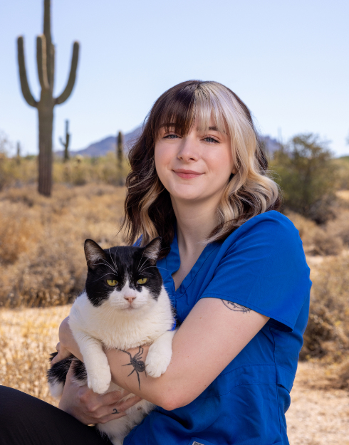 Our Veterinarians in Scottsdale, AZ | Pima North Animal Hospital