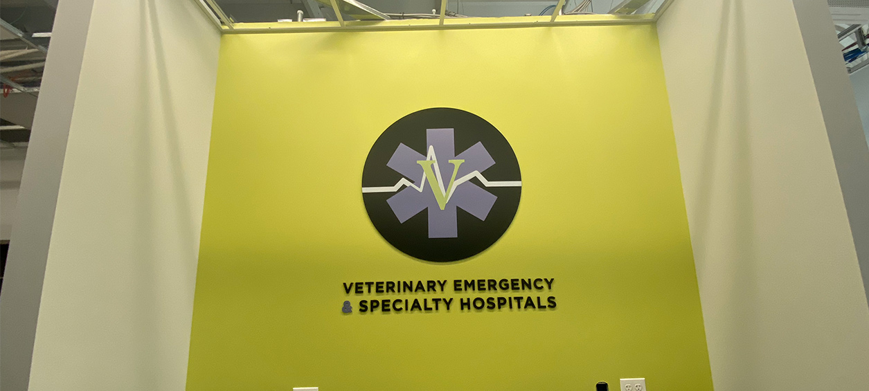 Animal Hospital in West Springfield, MA | Veterinary Emergency ...