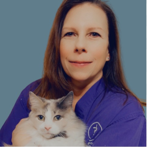 Amy | Buffalo Small Animal Hospital