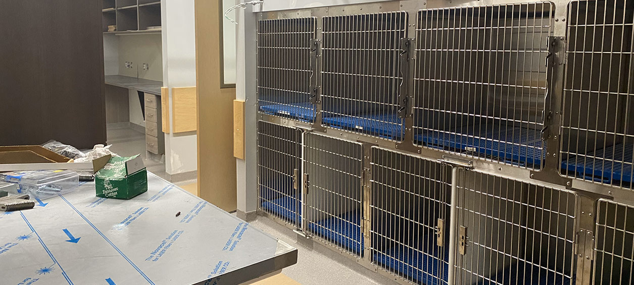 Animal Hospital in West Springfield, MA | Veterinary Emergency ...