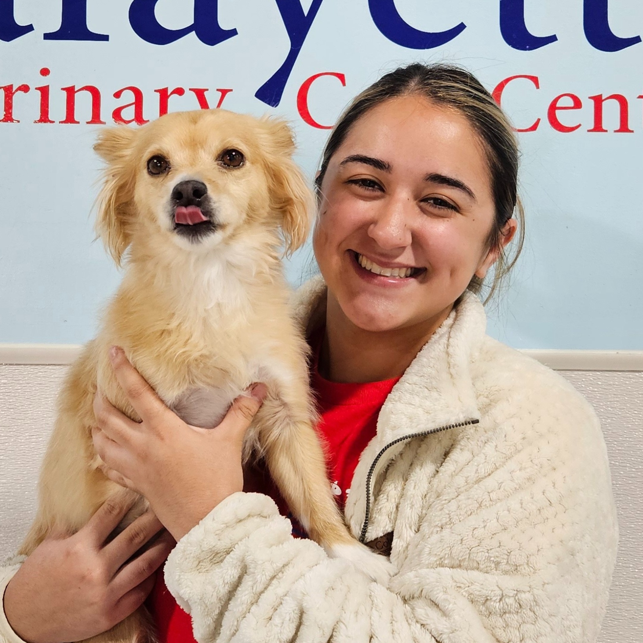 Staff | Lafayette Veterinary Care Center