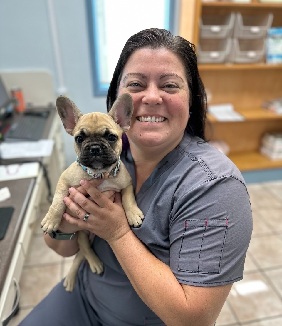 Atlantic Animal Hospital of Ormond Beach | Atlantic Animal Hospital