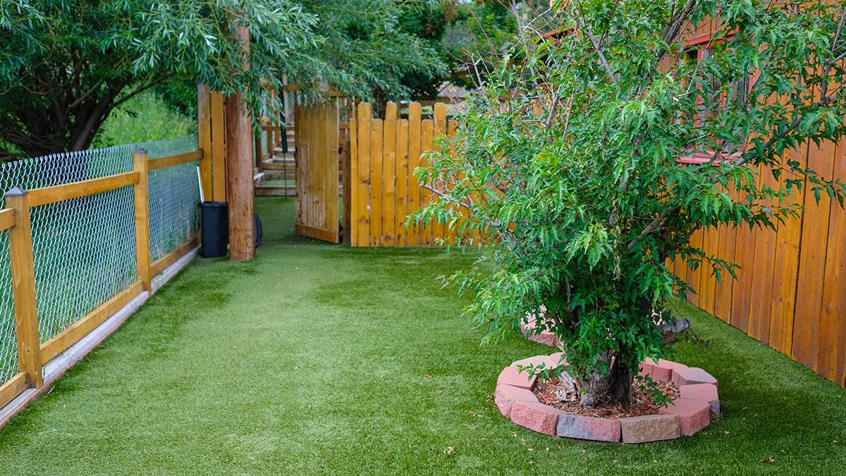 Gallery | Bergen Bark Inn