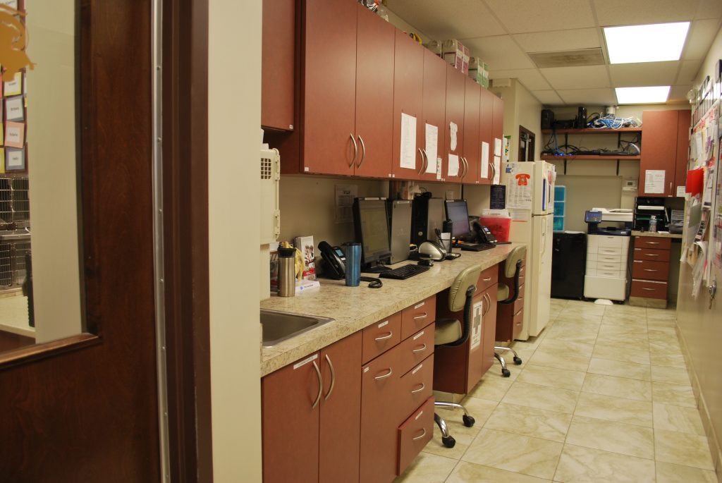 Animal Hospital in Plainfield, IL | Animal Medical Center of Plainfield