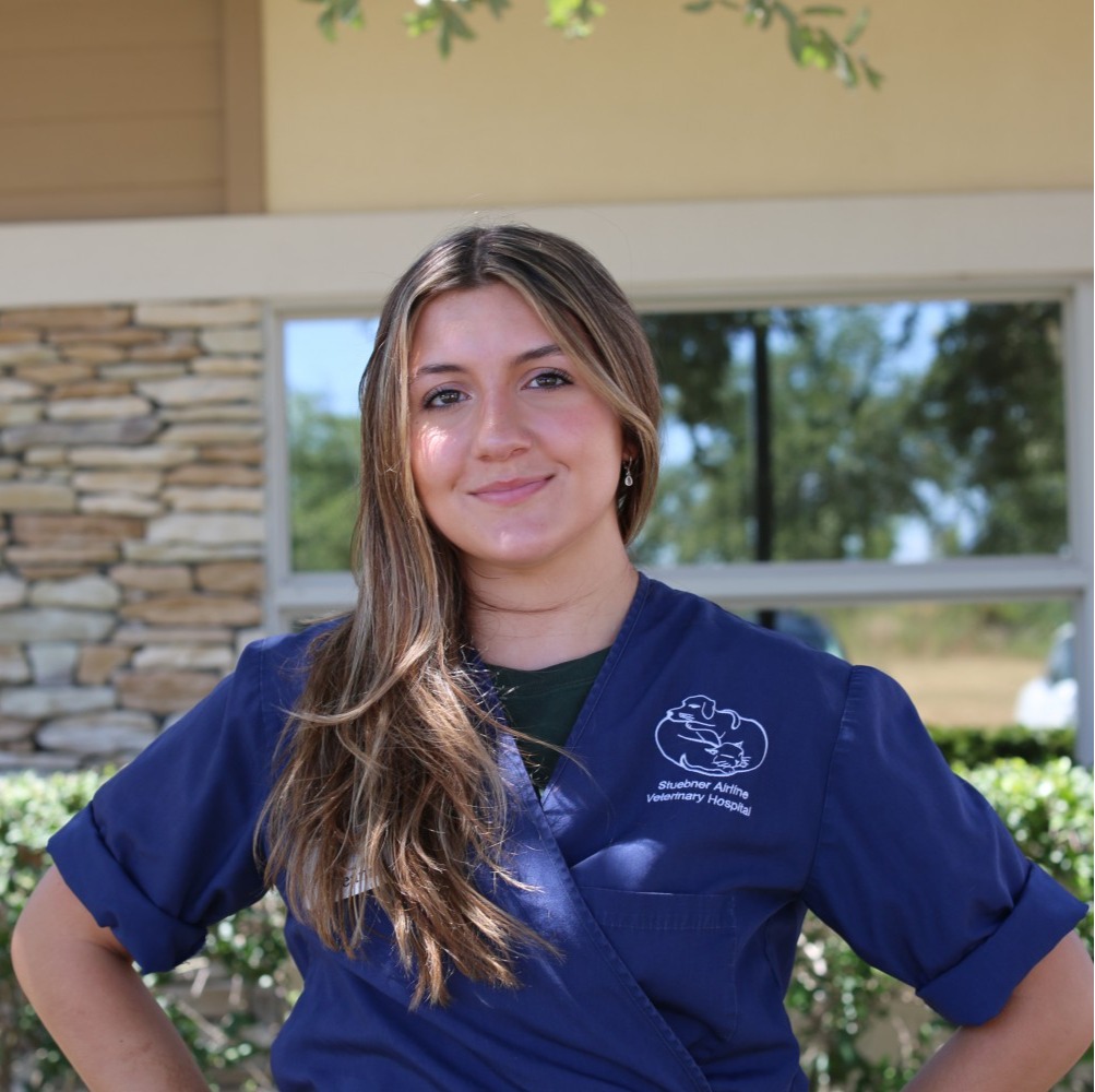Our Animal Hospital Staff | Stuebner Airline Veterinary Hospital