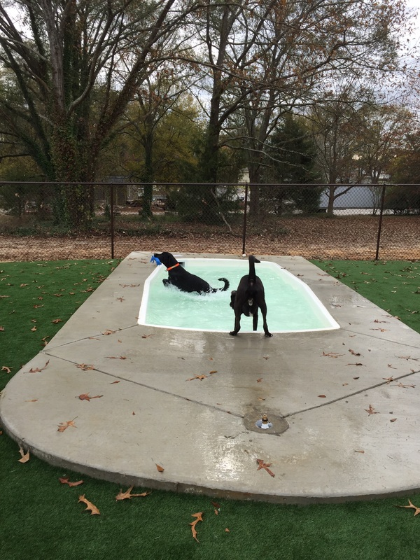 Our Facility | May Veterinary Northridge