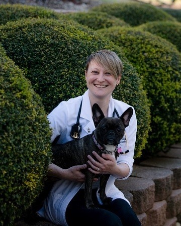Our Veterinarians in Arlington, TX | I-20 Animal Medical Center