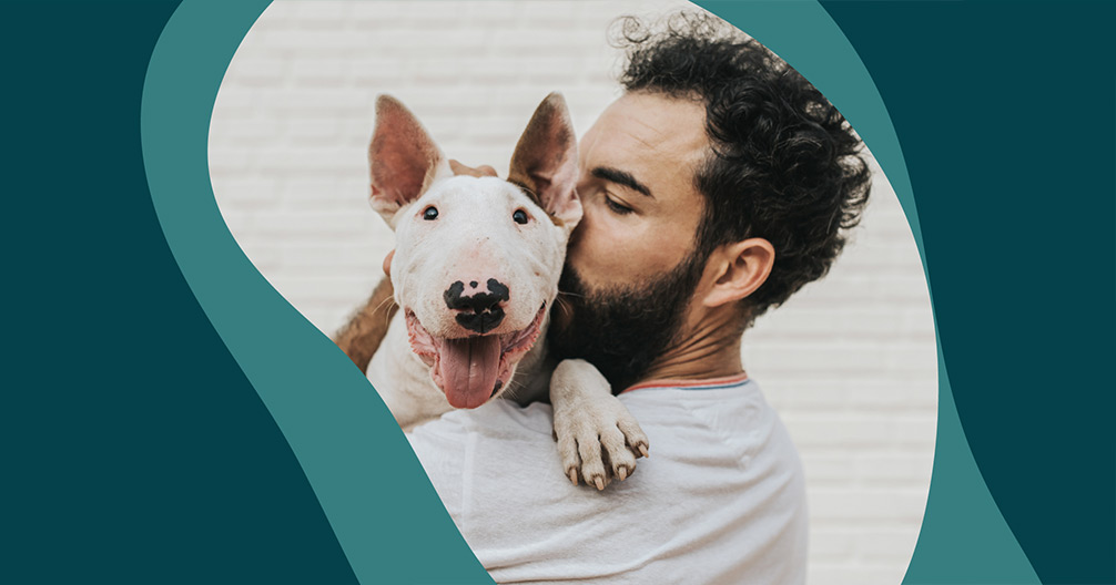 Care Plans | Verde Veterinary Hospital