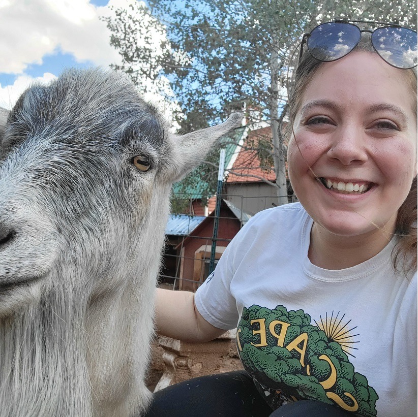 Our Veterinary Team | All Creatures Animal Clinic