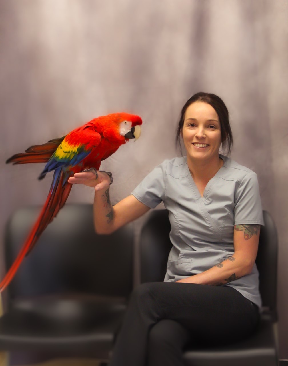 Rapid City's Premier Veterinarians | Animal Clinic of Rapid City