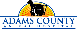 Homepage | Adams County Animal Hospital