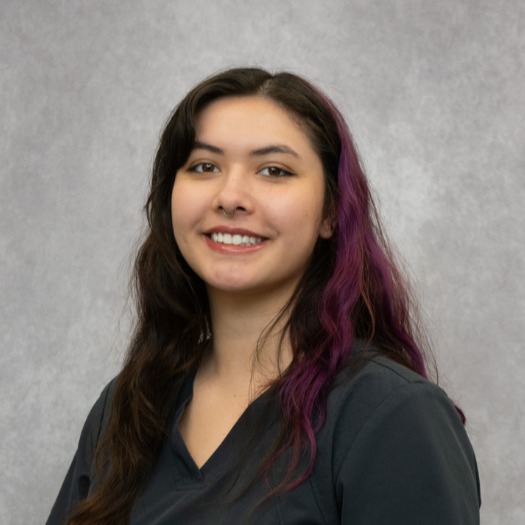 Our Animal Hospital Staff | Southview Animal Hospital