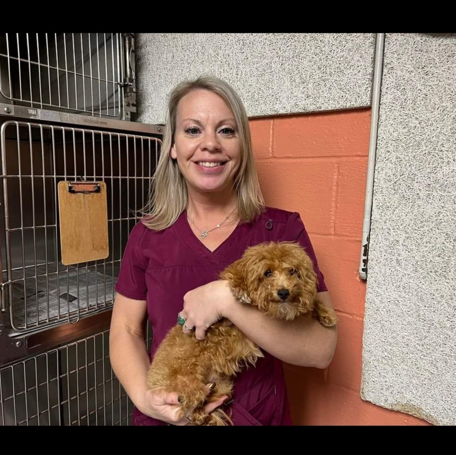 Our Team | Lee's Summit Animal Hospital