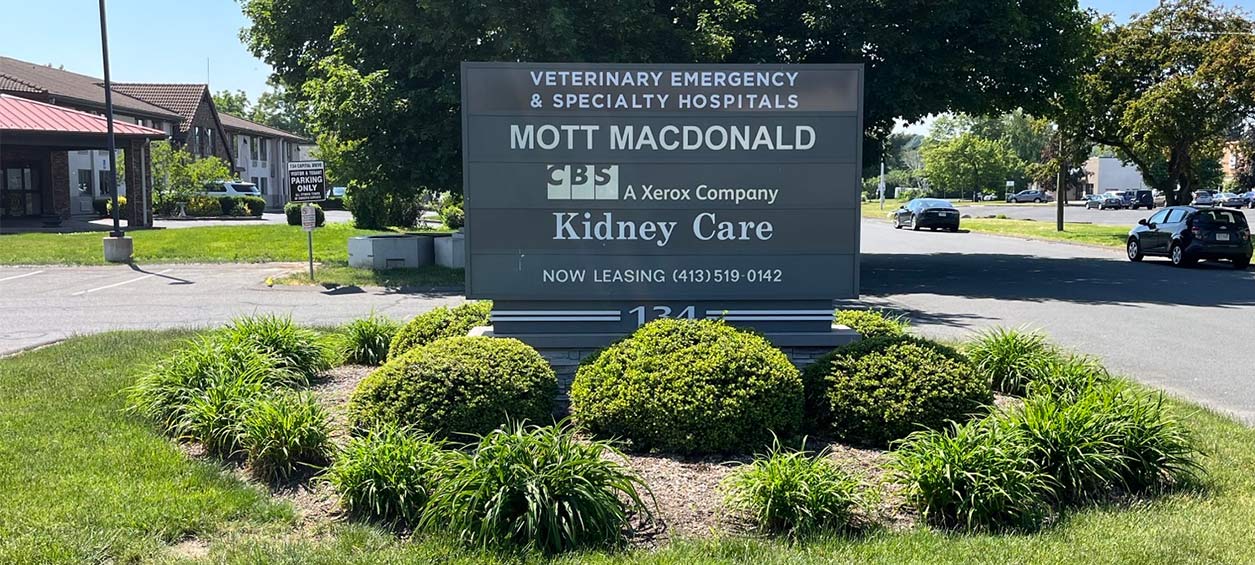 Animal Hospital in West Springfield, MA | Veterinary Emergency ...