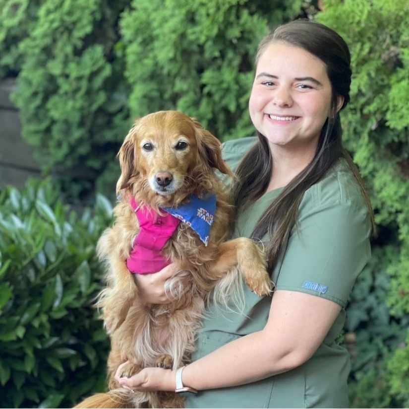 Staff | Bush Animal Hospital