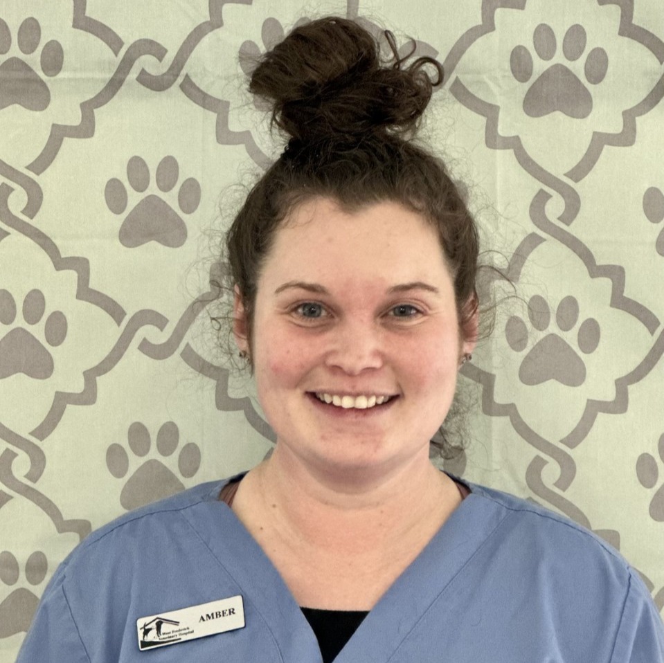 Our Expert Veterinarians in Frederick, MD | West Frederick Veterinary ...