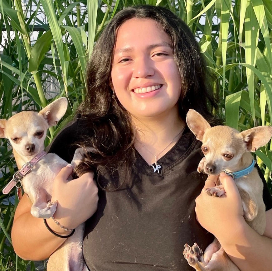 Staff | North 10th Street Animal Hospital