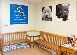Gallery | Tribeca Soho Animal Hospital
