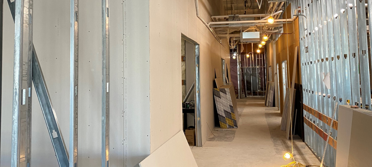 Animal Hospital in West Springfield, MA | Veterinary Emergency ...