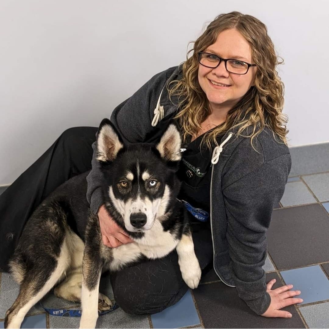 Veterinarian Staff | Bradford Park Veterinary Hospital