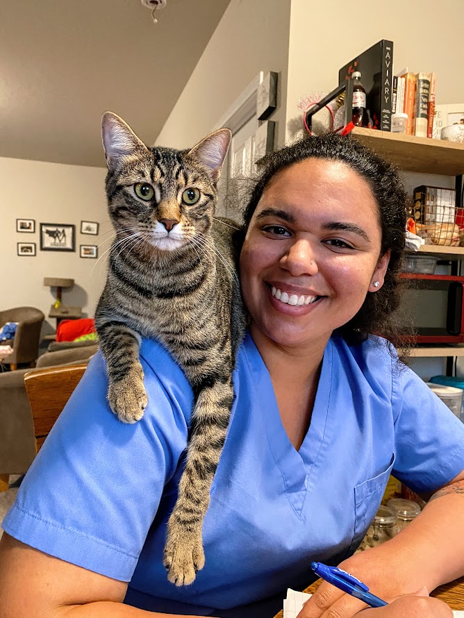 Gallery | Sunset Veterinary Clinic