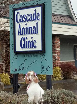 Gallery | Cascade Animal Clinic