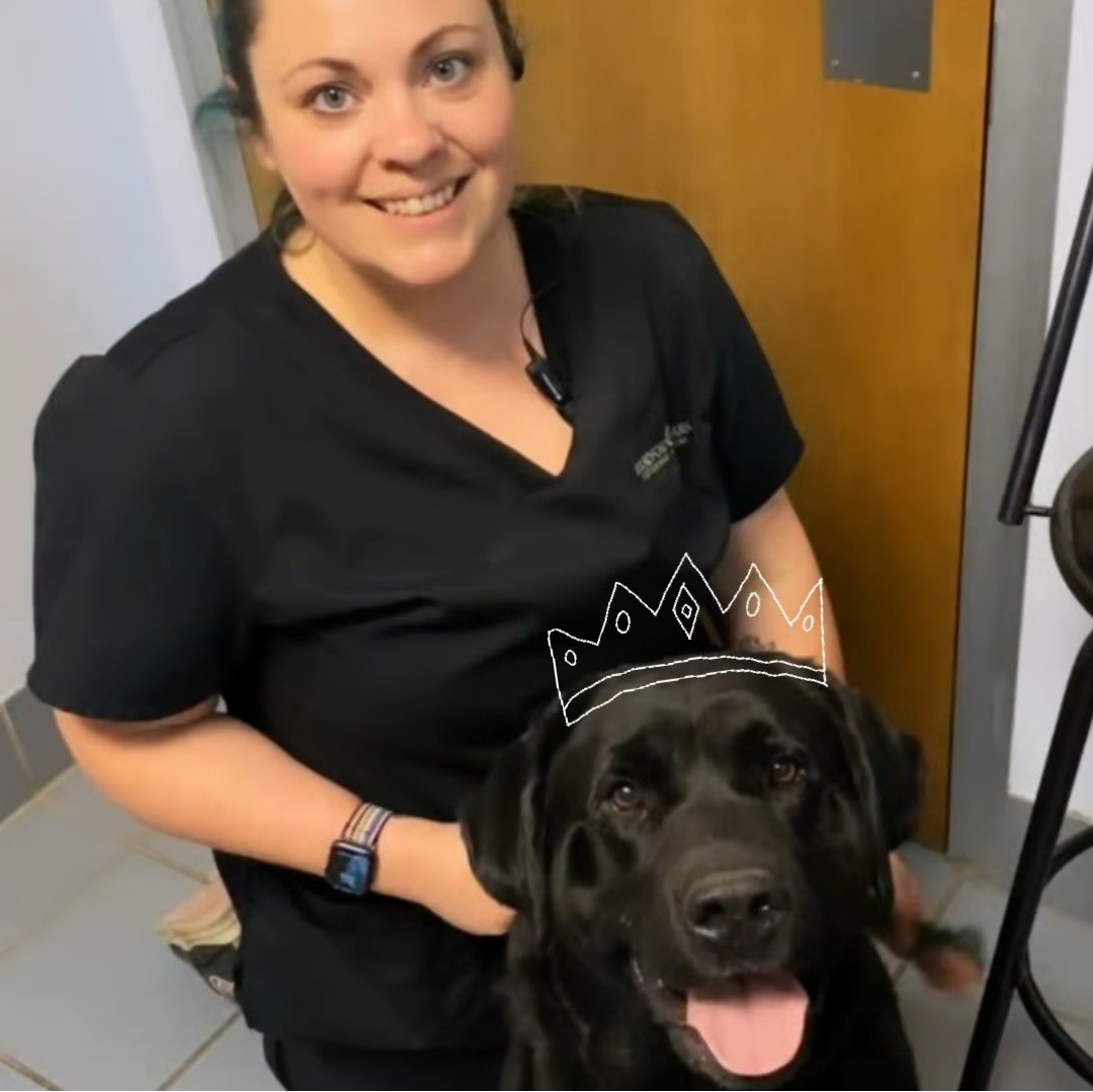 Veterinarian Staff | Bradford Park Veterinary Hospital