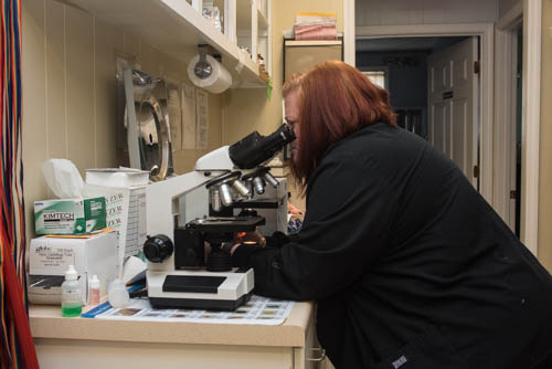 Hospital Tour | Faulkville Animal Hospital