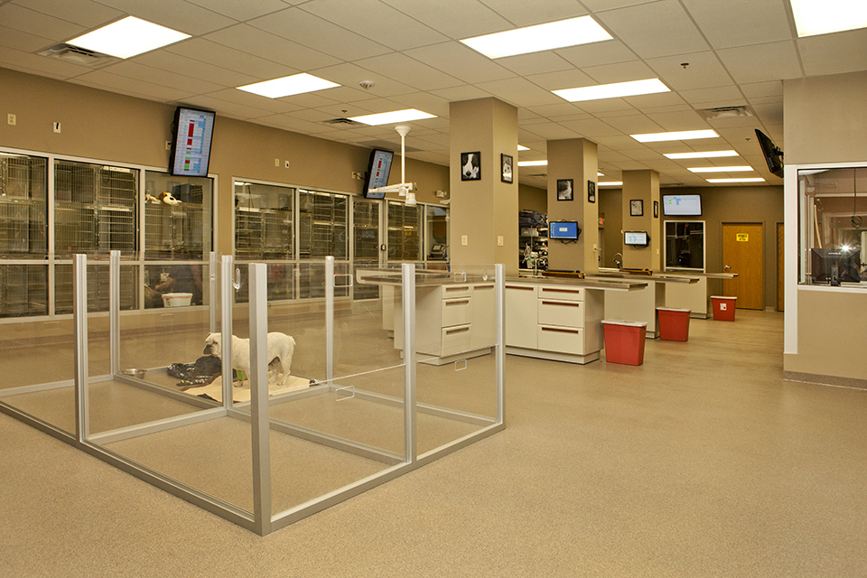 Animal Hospital in Owasso, OK | SAHO Animal Hospital