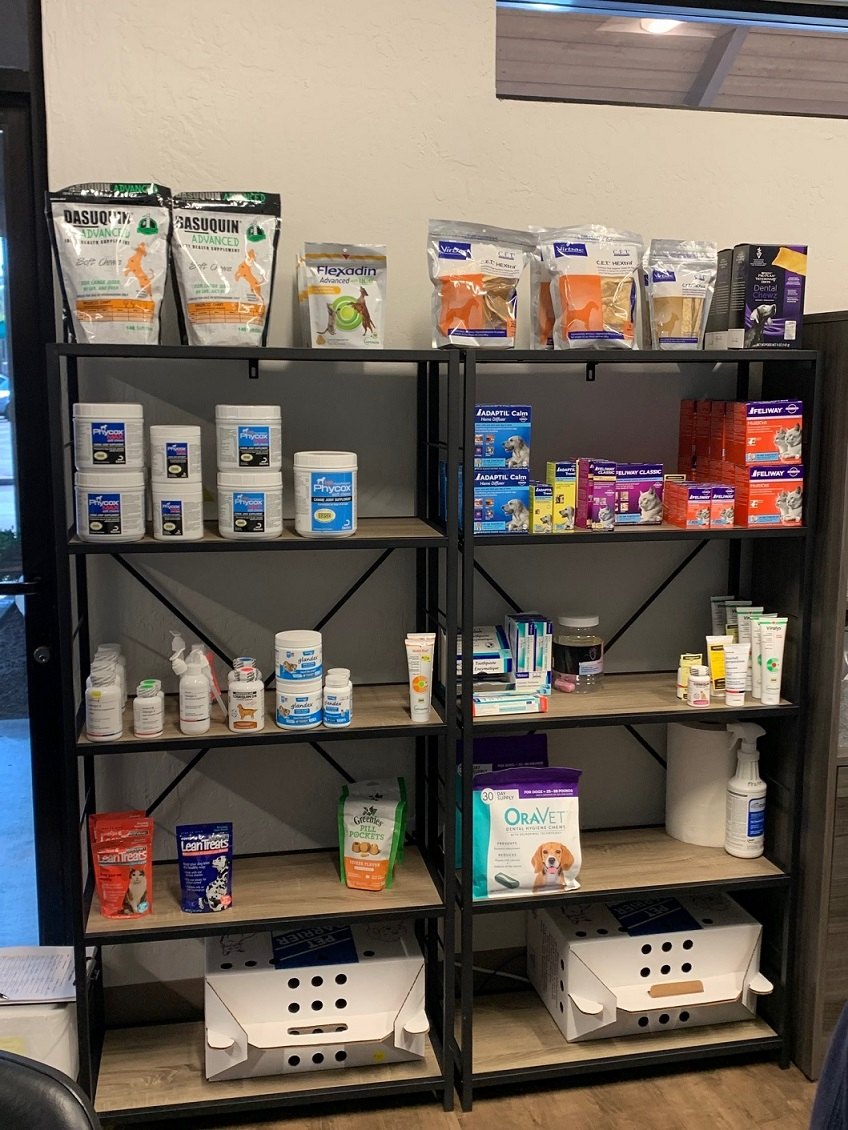 Gallery | All Creatures Animal Clinic