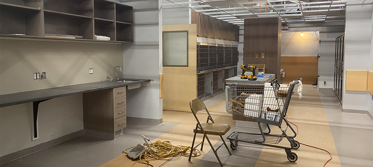 Animal Hospital in West Springfield, MA | Veterinary Emergency ...