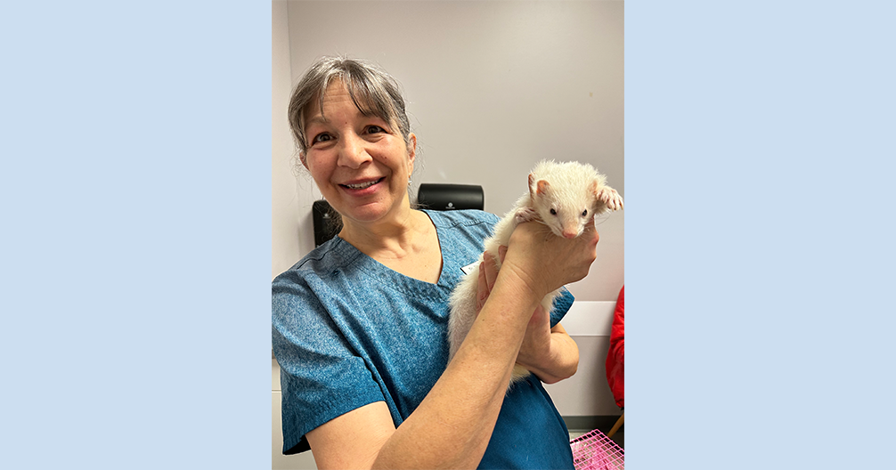 Animal Hospital in State College, PA | Keystone Veterinary Care