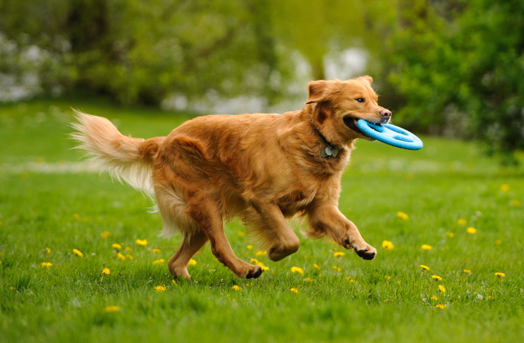 New Patient Center | The KAAWS Clinic at Cypress