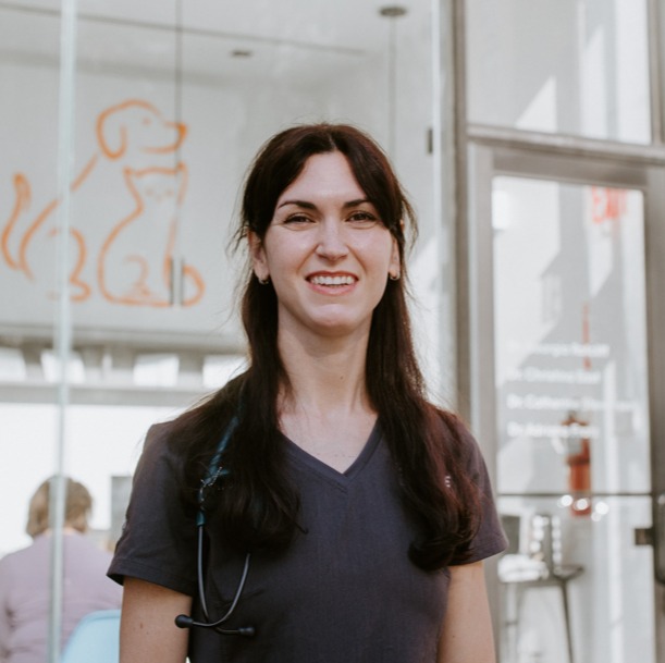 Experienced Veterinarians in New York, NY | Riverside Veterinary Care ...