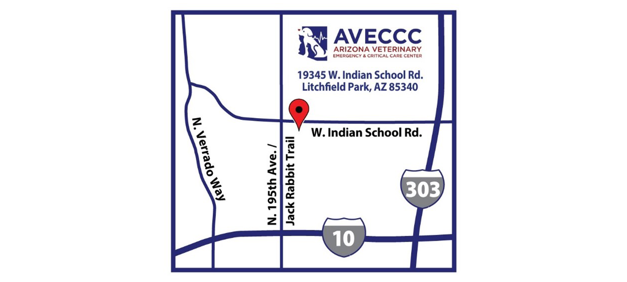 Buckeye Location | Arizona Veterinary Emergency & Critical Care Center