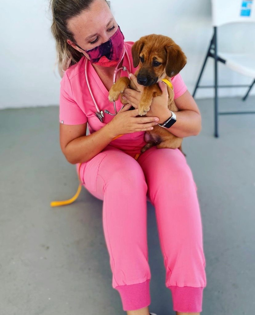 Dr. Samantha McCandless | Strawbridge Animal Care