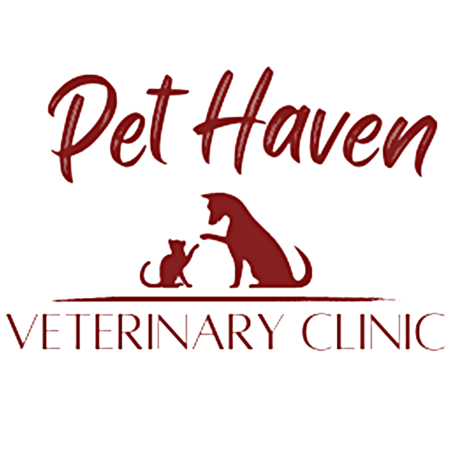 ALLYDVM Pet Medical Records | Pet Haven Veterinary Clinic