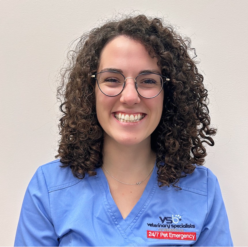 Emergency Veterinarians in Birmingham, AL | Veterinary Specialists of ...